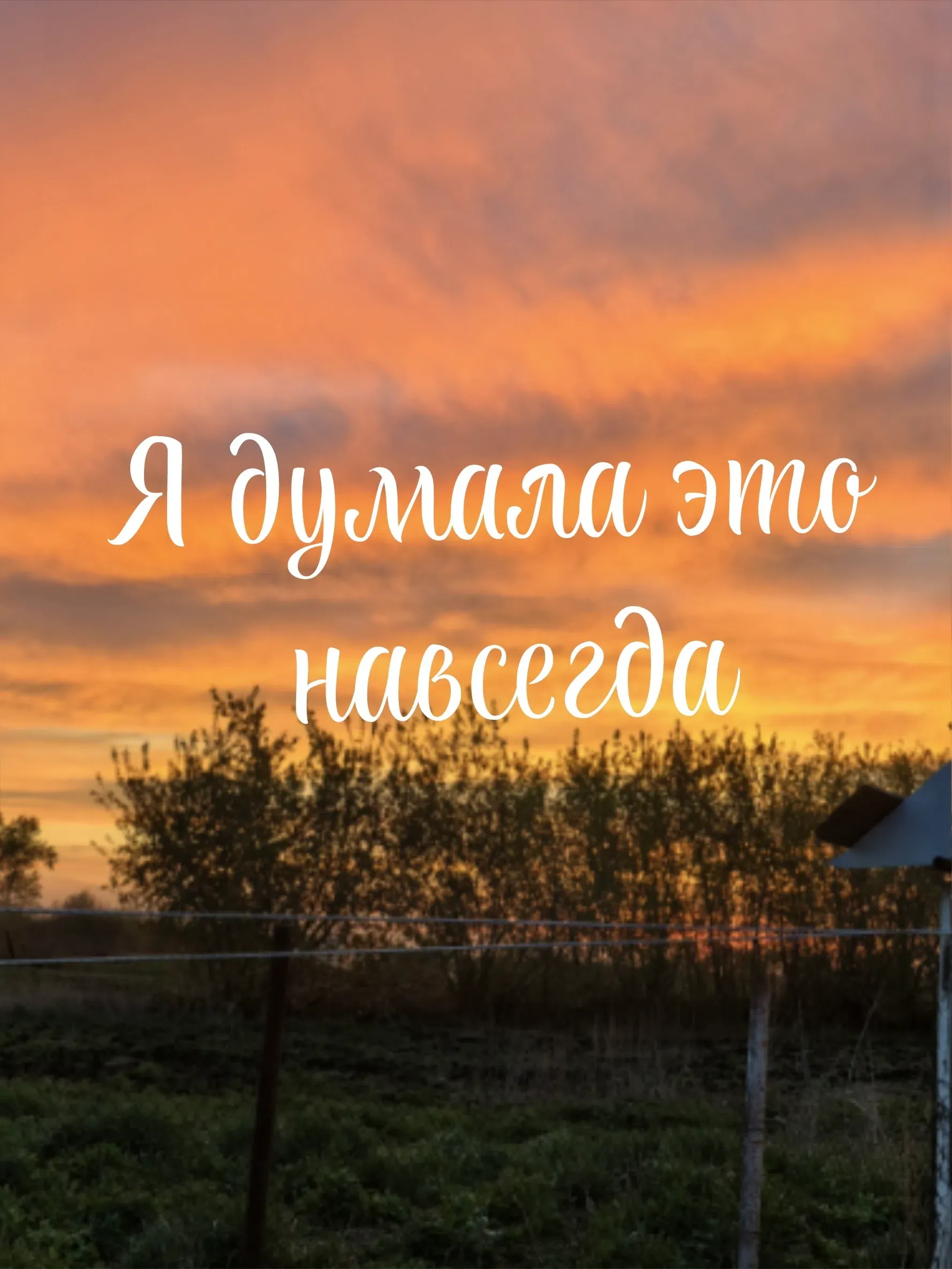 Я думала это навсегда | БАЗАР